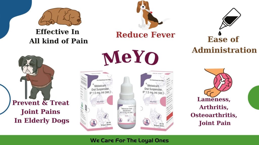 Meyo Suspension - Sangam Vet